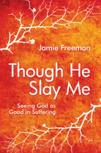 Jamie Freeman Introduces Though He Slay Me: Seeing God as Good in ...